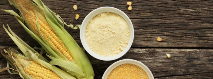 Protein 60% Corn Gluten Meal Animal Feed Poultry