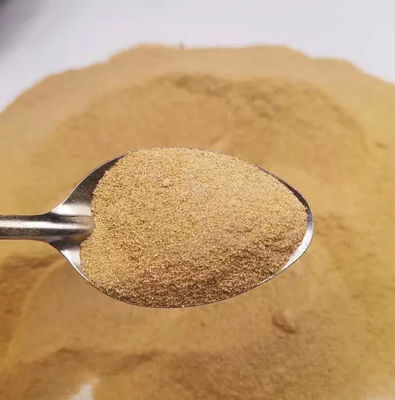 Mycoprotein Powder factory, Buy good quality Mycoprotein Powder ...